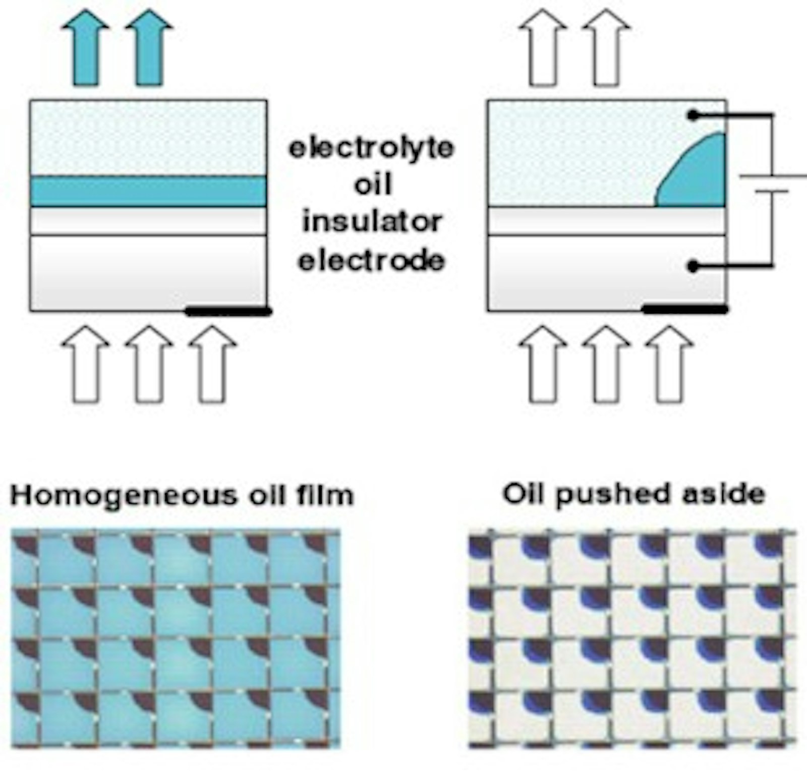 Progress with electrowetting displays | Printed Electronics World