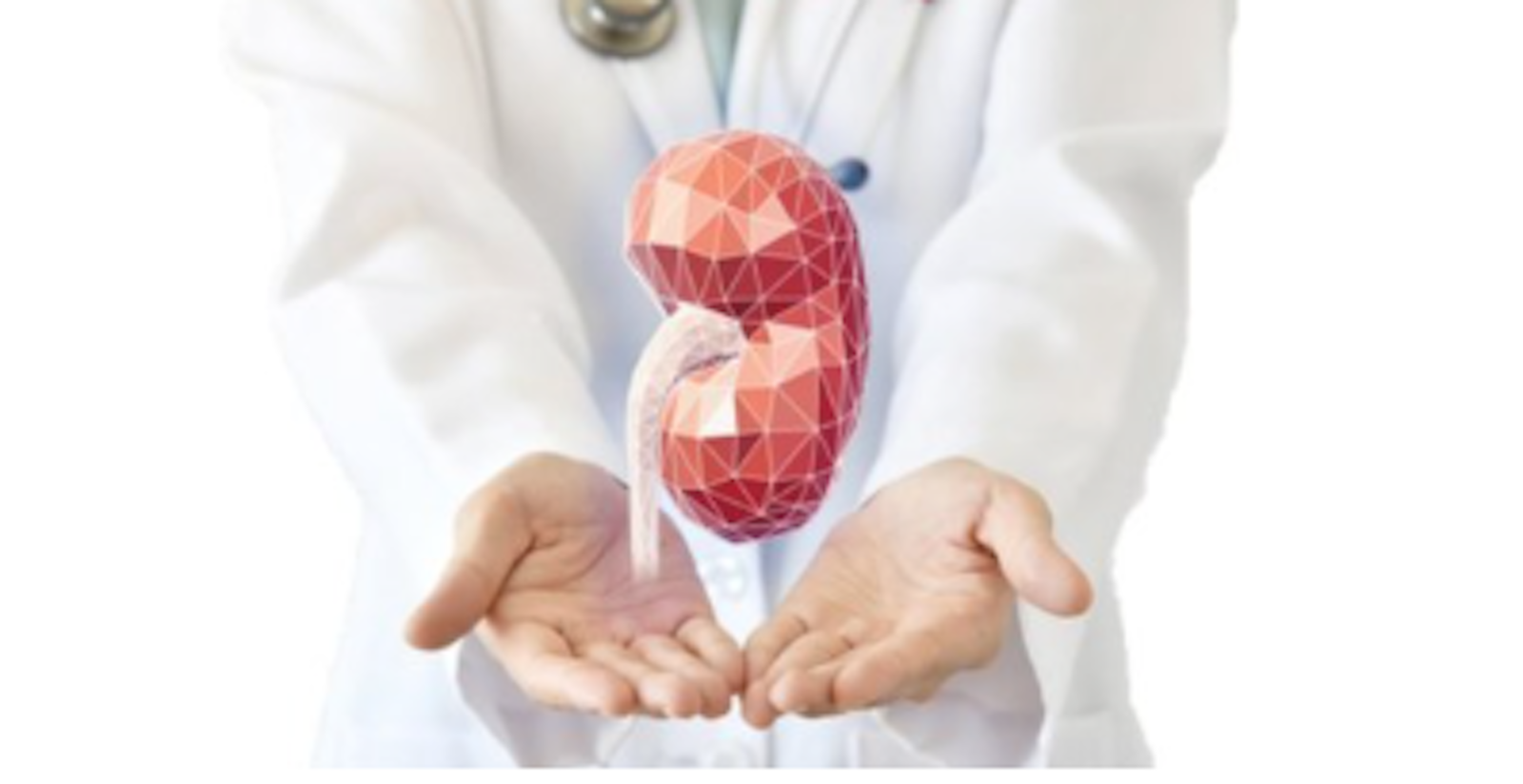 funding-to-create-human-organs-with-3d-printing-global-biotechnology
