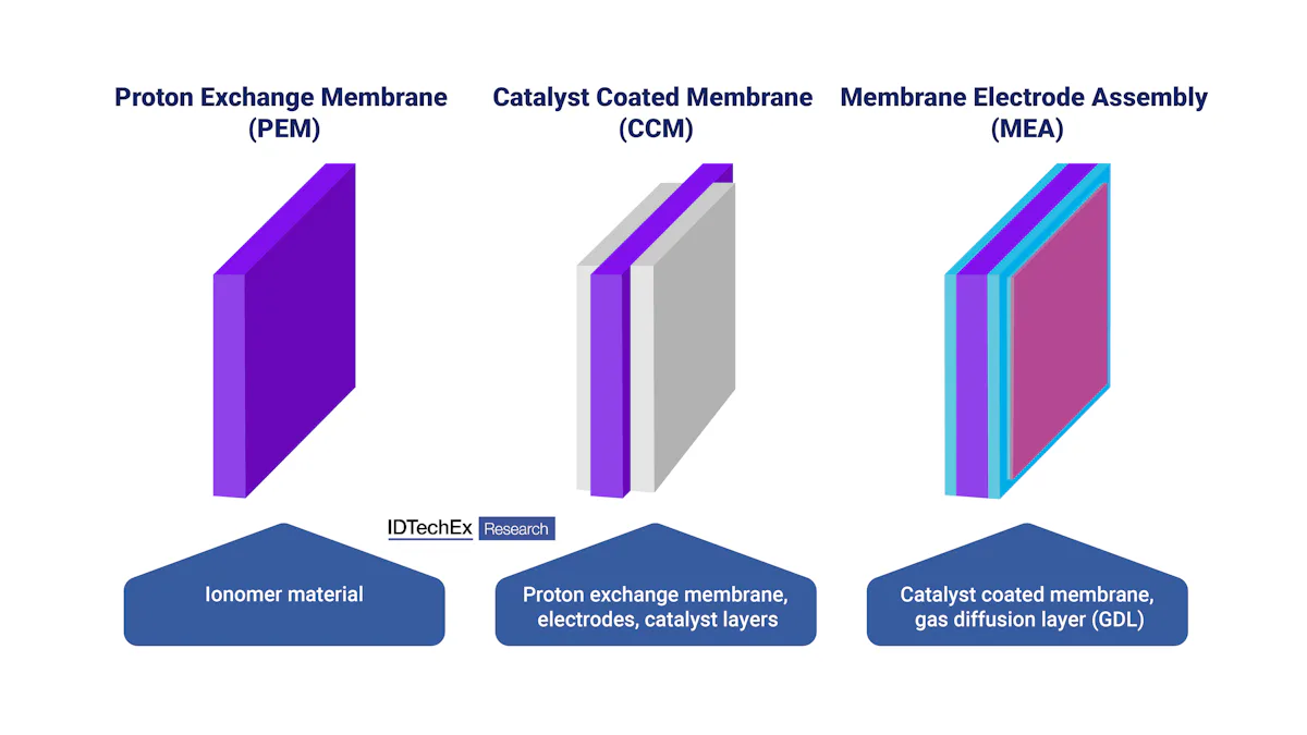 Catalysts For Change: The Key Trends for PEM Fuel Cell Catalysts ...