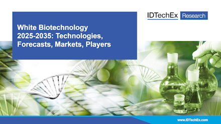 Critical Battery Materials 2025-2035: Technologies, Players, Markets ...